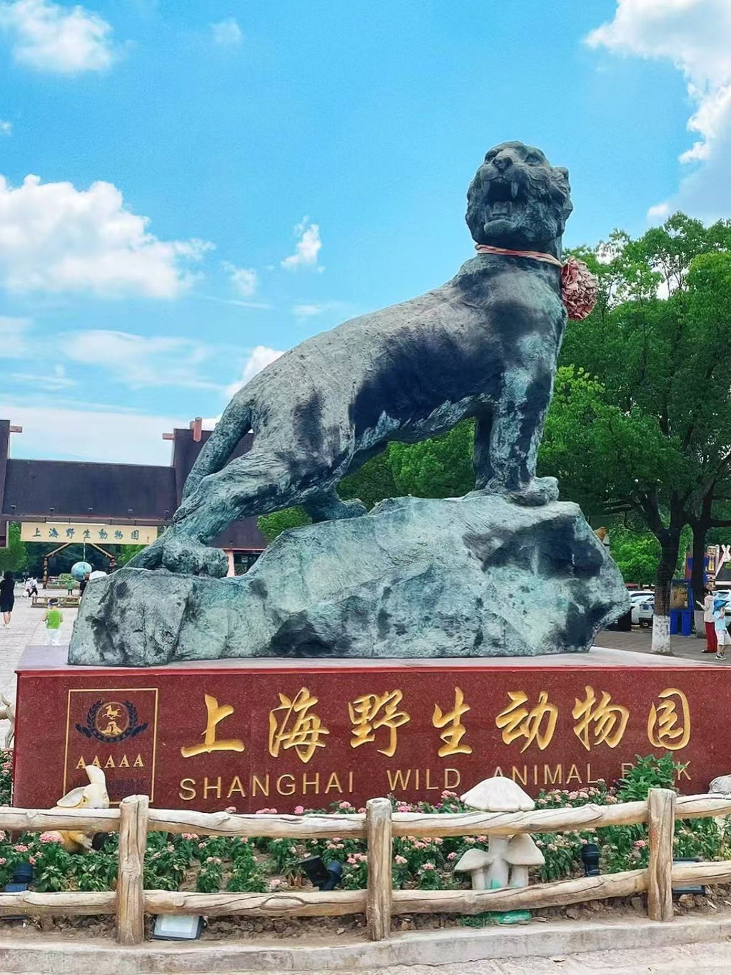Shanghai Wild Animal Park: Wildlife Encounters & Exciting Shows – Hills ...